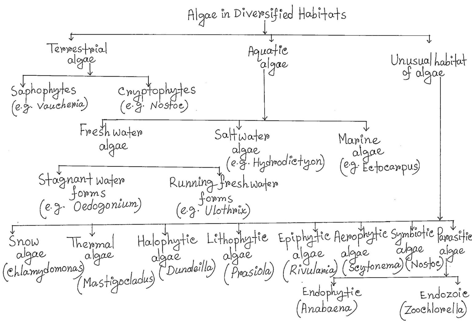 Algae in Diversified Habitats