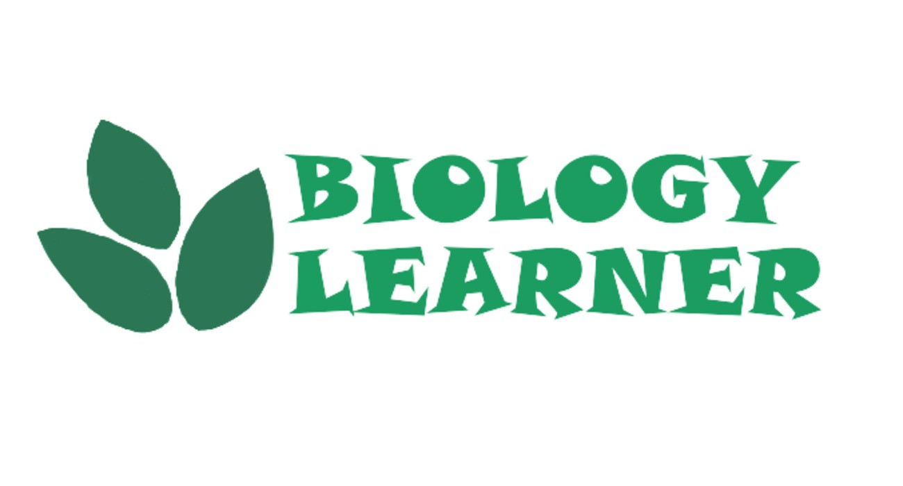 Plant Physiology and Anatomy - Biology Learner